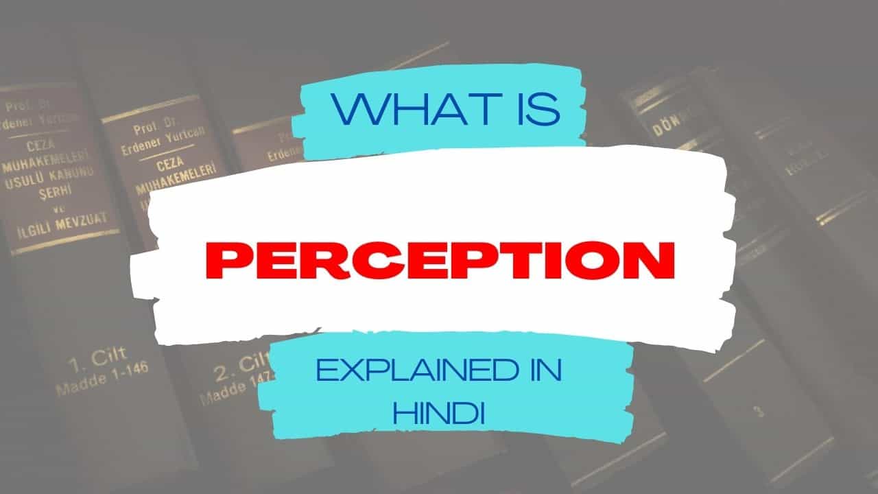 What Is Perception Explained In Hindi What Is Perception Explained In Hindi